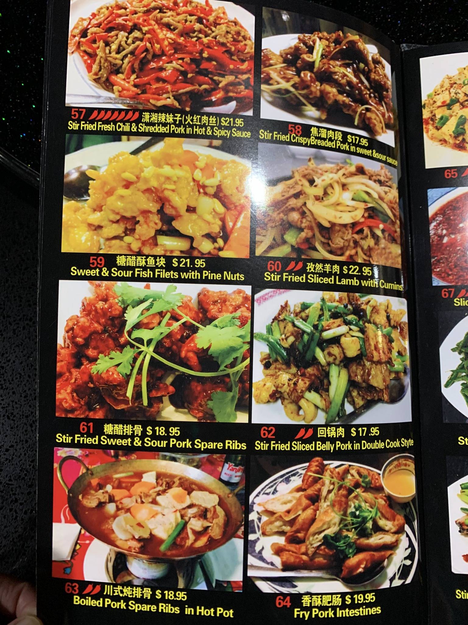 Menu at Old Szechuan Chinese Restaurant, Edmonton, 82 Ave NW
