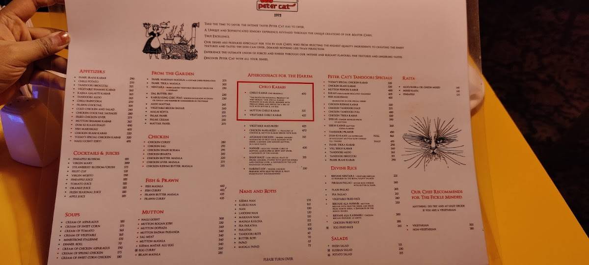 Menu at Peter Cat, Kolkata