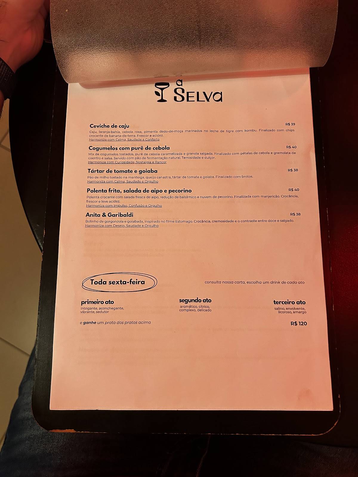 Menu em A SELVA pub & Bar, Campinas