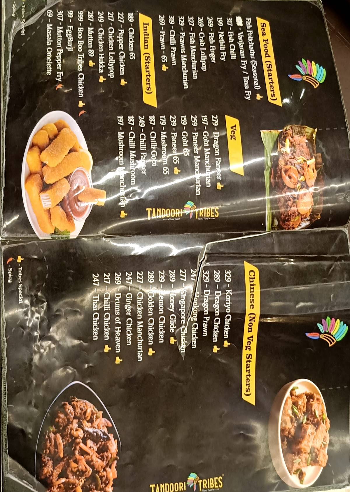 Menu at Tandoori Tribes & The Falooda Shop Karaikudi, Karaikudi