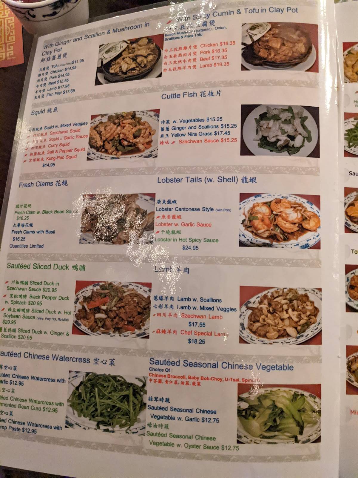 Menu at Chen Garden restaurant, Rochester, Monroe Ave #1843