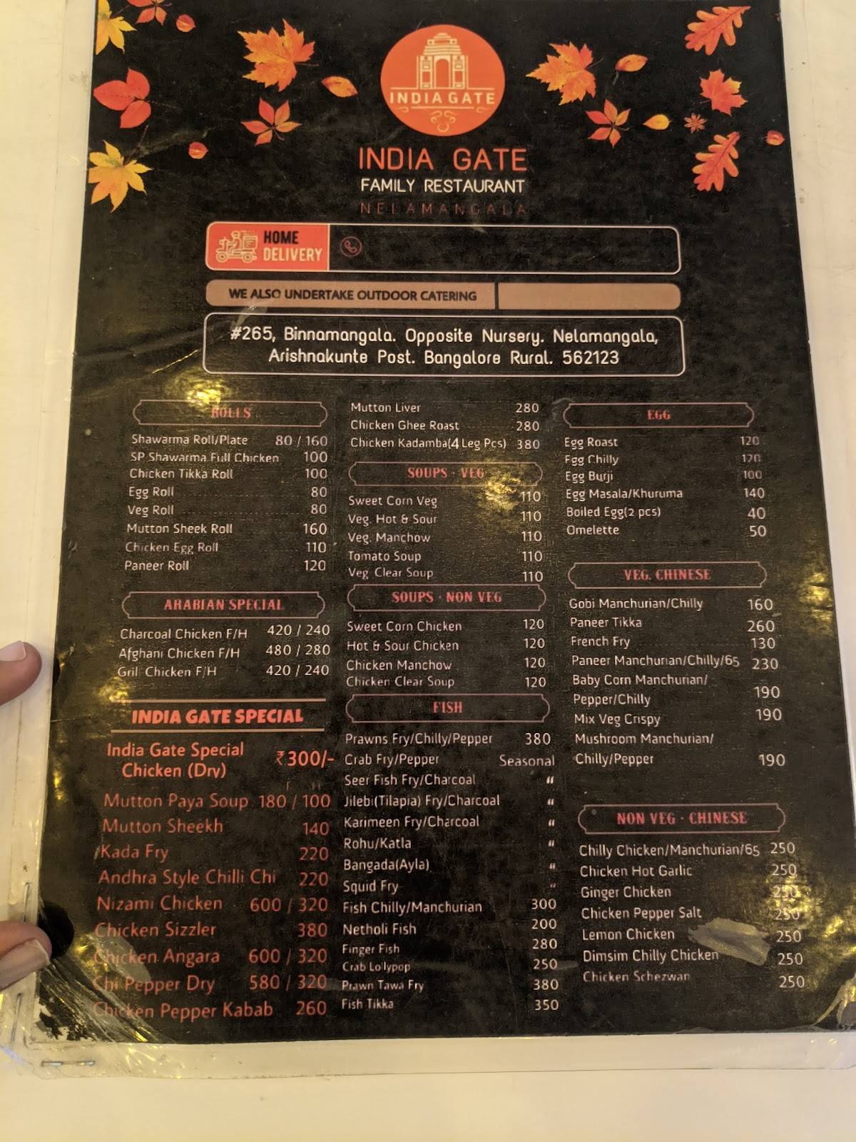 Menu at India Gate Family Restaurant, India, 265
