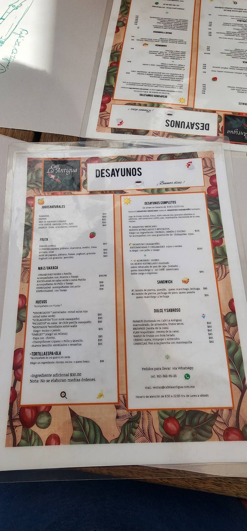 Carta de Cafés Mexicanos de Exportación, S.A. de C.V., Oaxaca