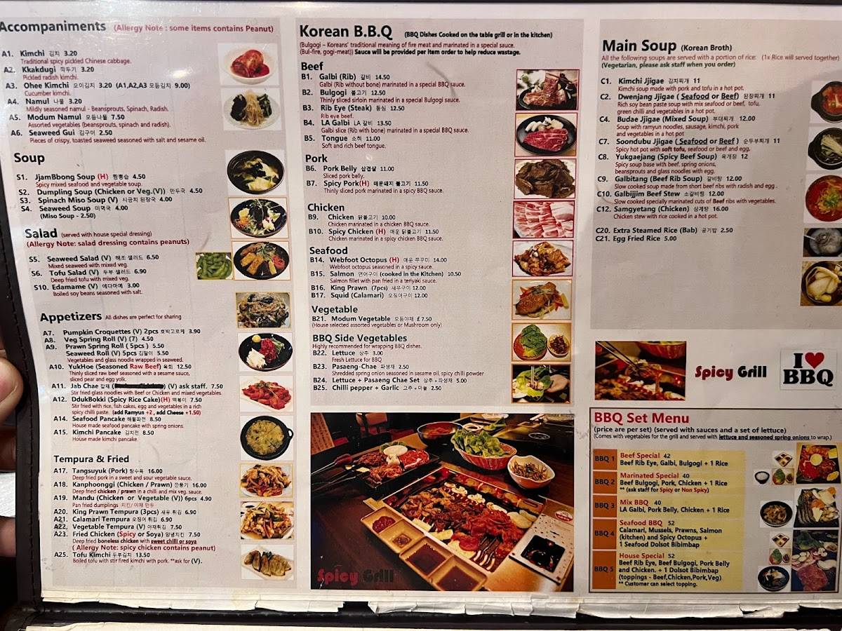 Menu at Spicy Grill restaurant, London, 122 Golders Green Rd