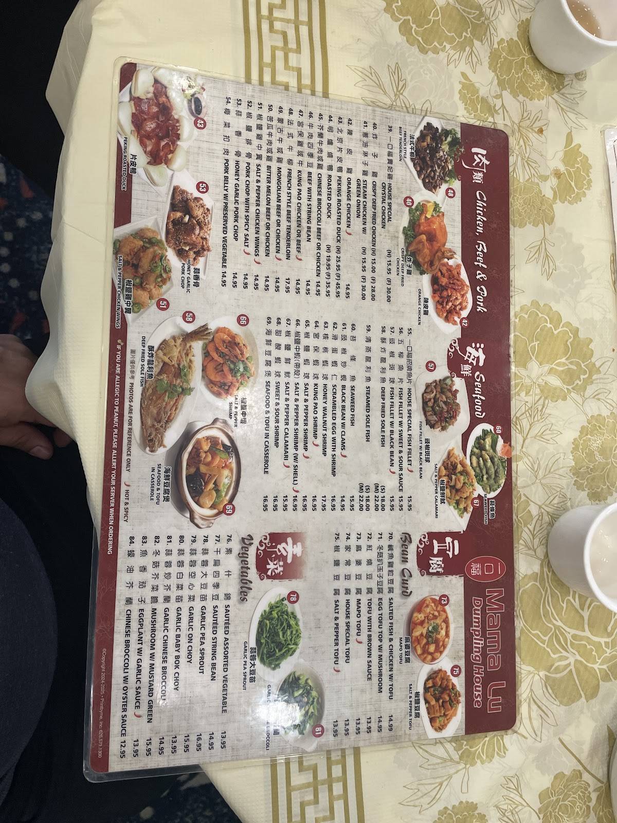 Menu at Mama Lu's Dumpling House restaurant, Los Angeles