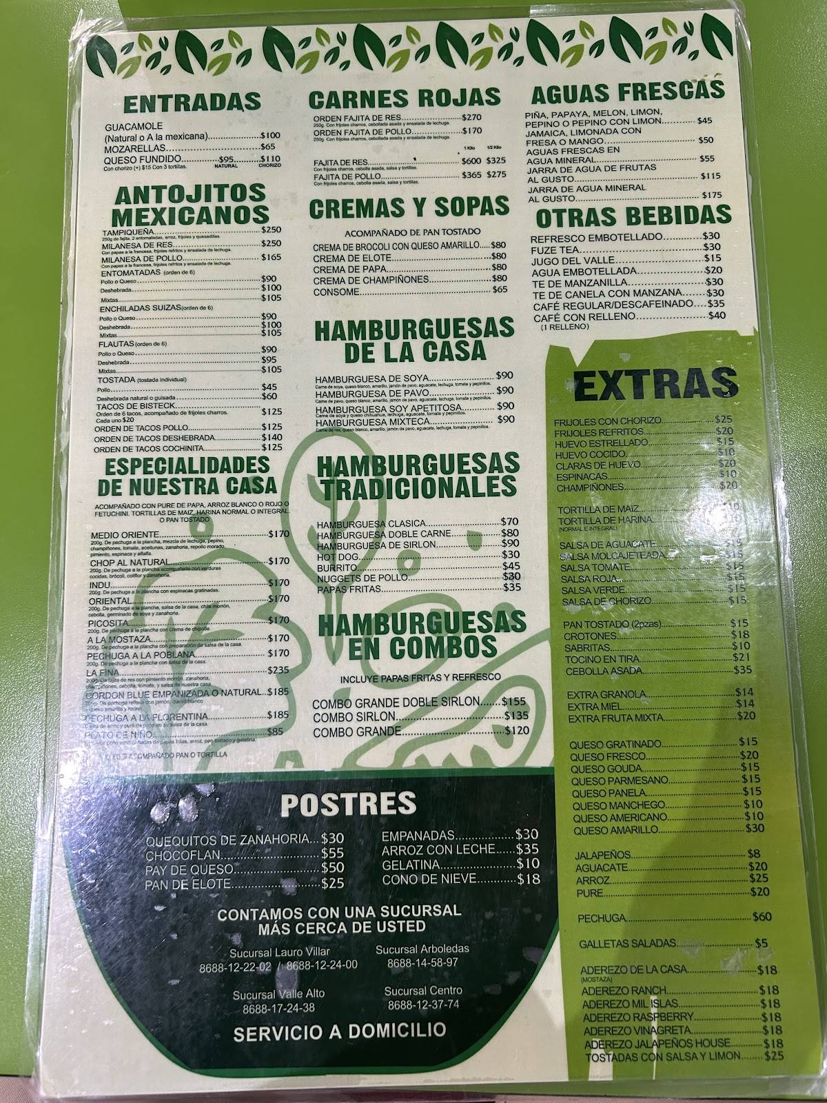 Carta del restaurante Natural House, Matamoros, Av. Gral. Lauro Villar 244