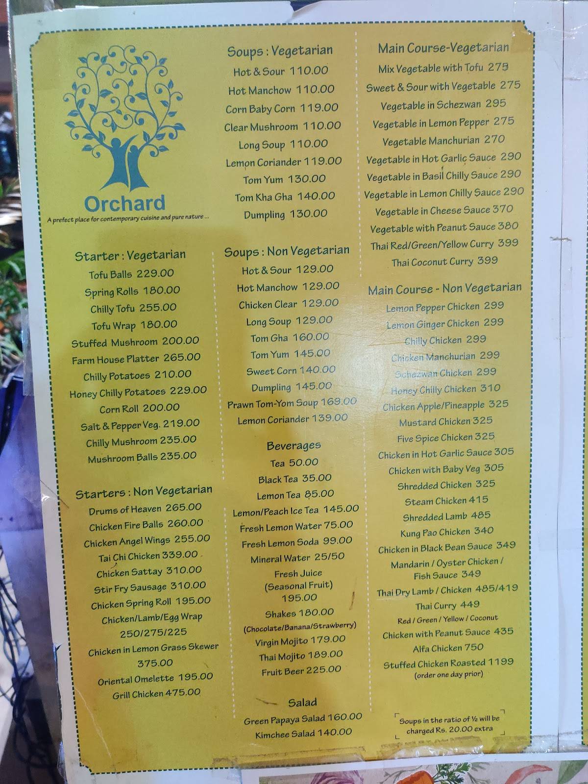 Menu at Orchard, Dehradun, 3/B