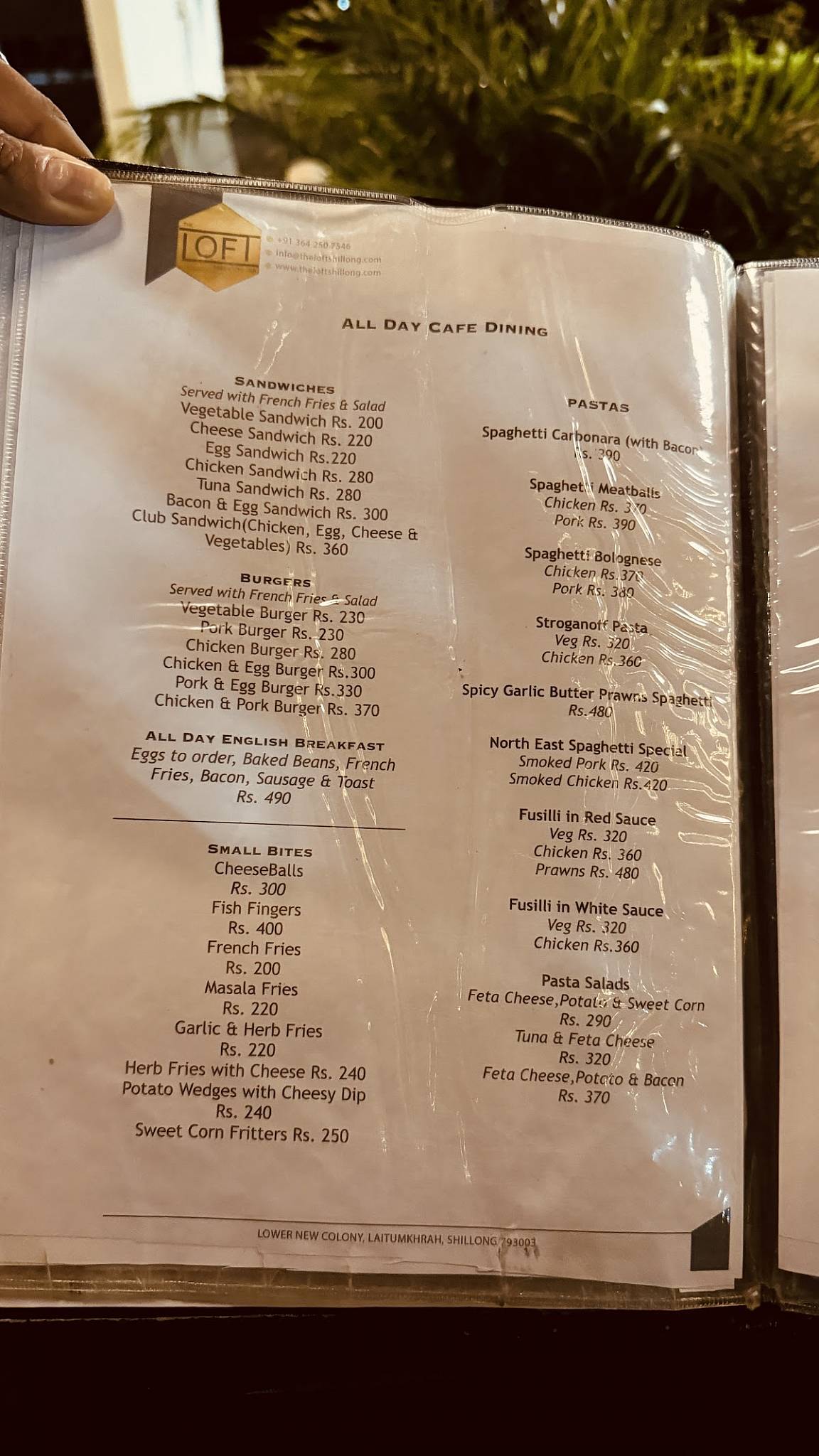 Menu at The mango tree lounge cafe, Shillong