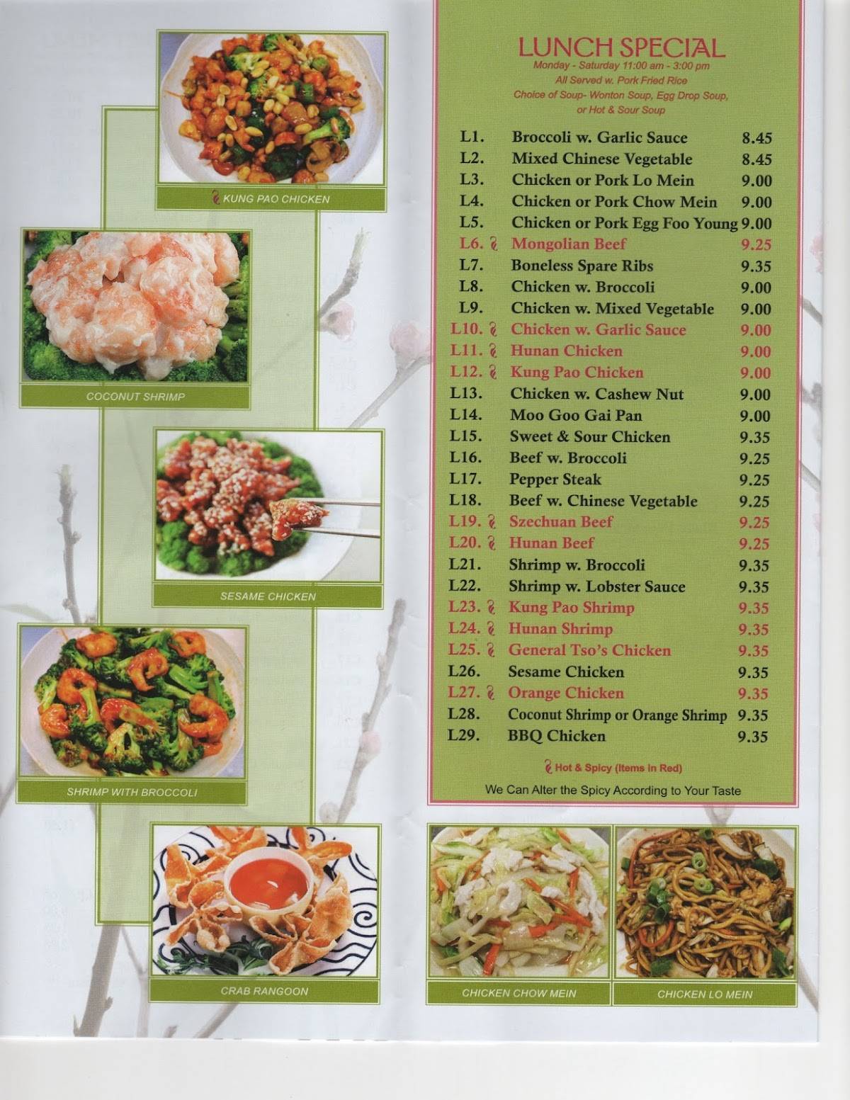 Menu at Rice Garden restaurant, Hobart
