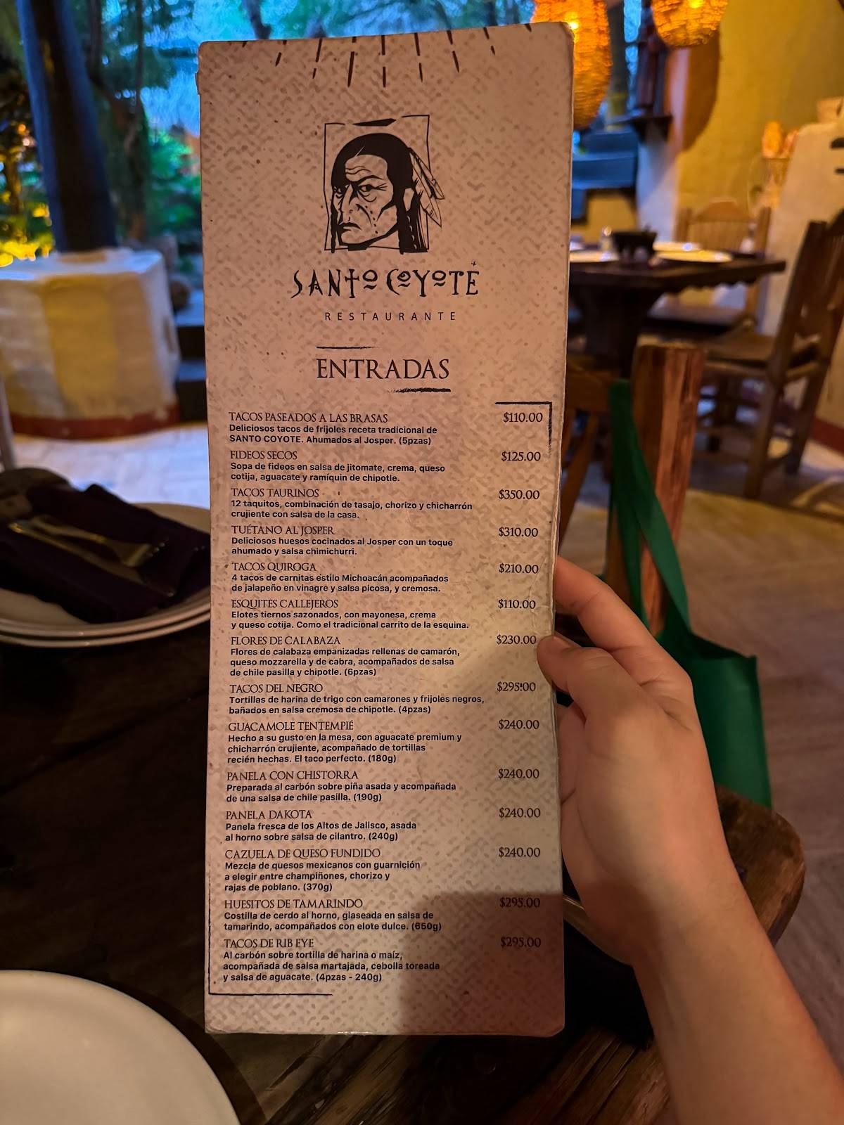 Menu at Santo Coyote restaurant, Guadalajara, C. Miguel Lerdo de Tejada ...