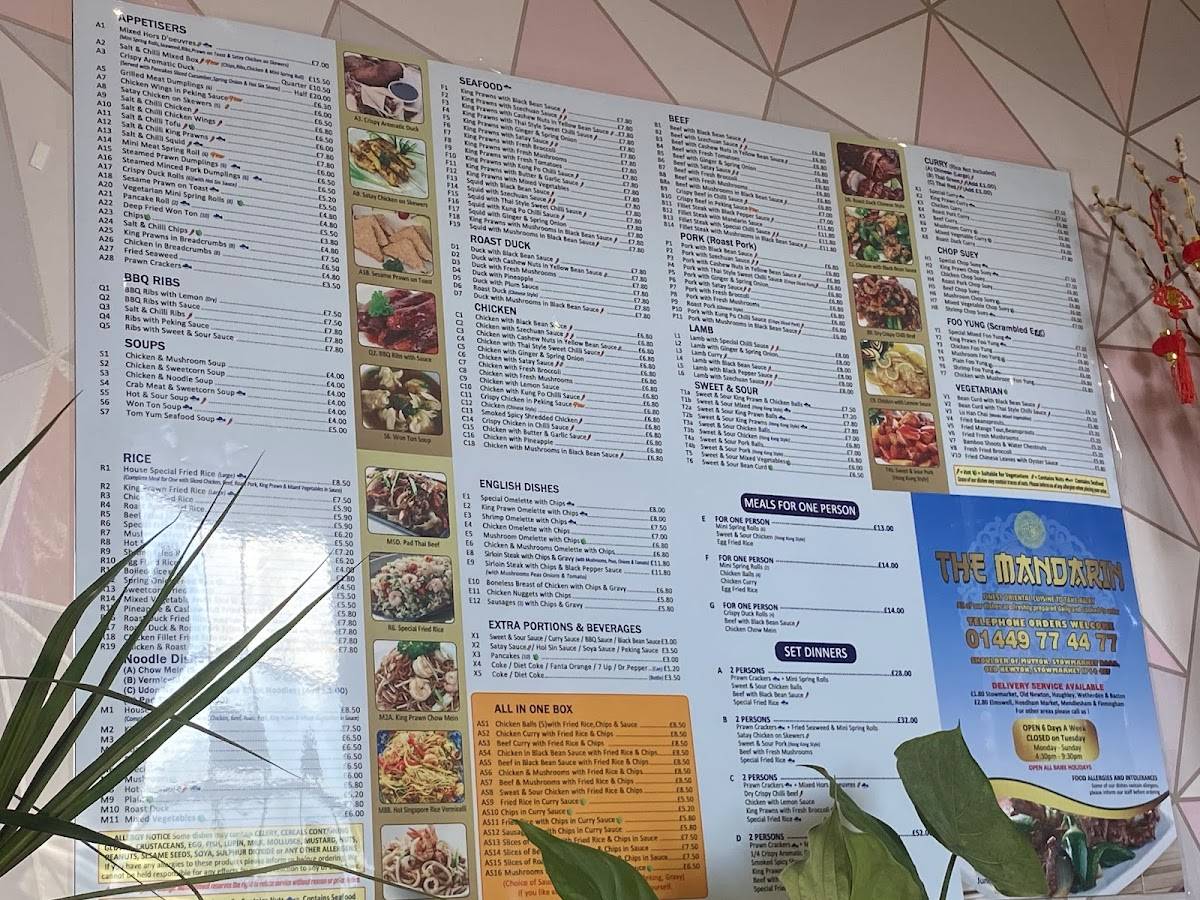 Menu at The Mandarin restaurant, Stowmarket, Stowmarket Rd