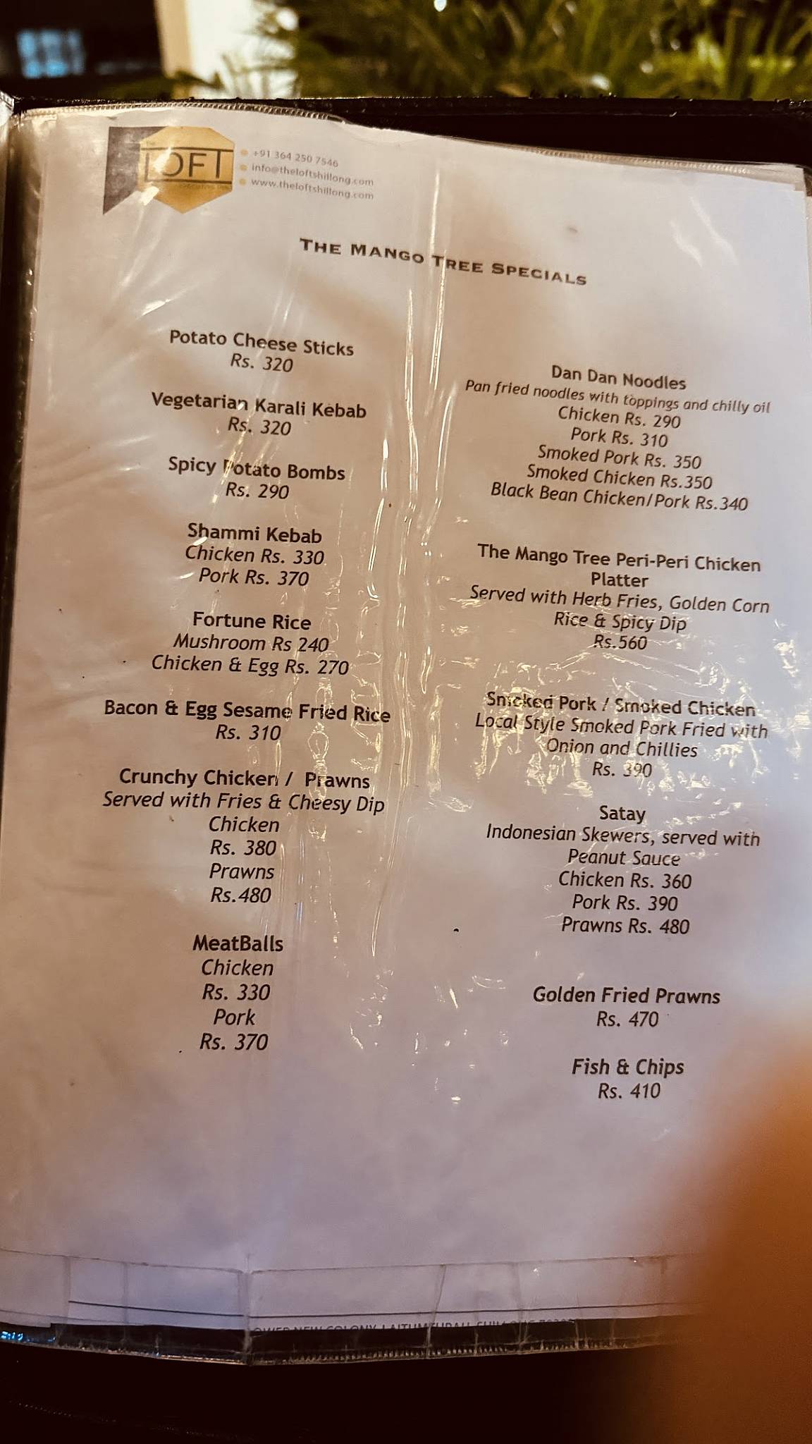 Menu at The mango tree lounge cafe, Shillong