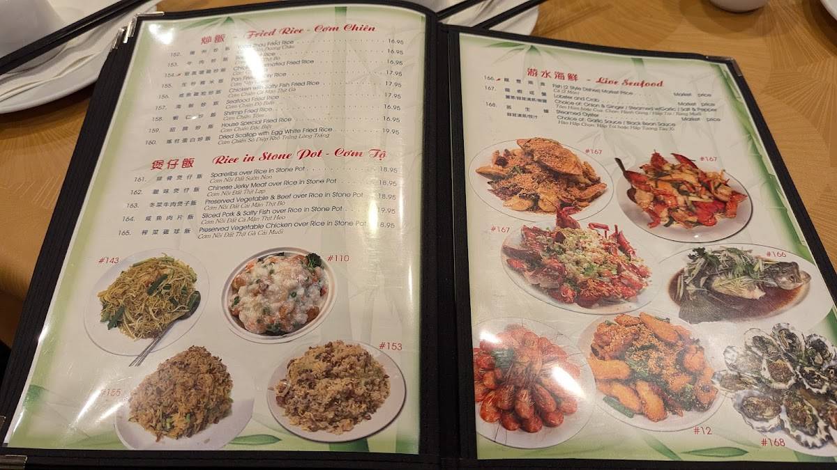 Menu at V Garden restaurant, Kent