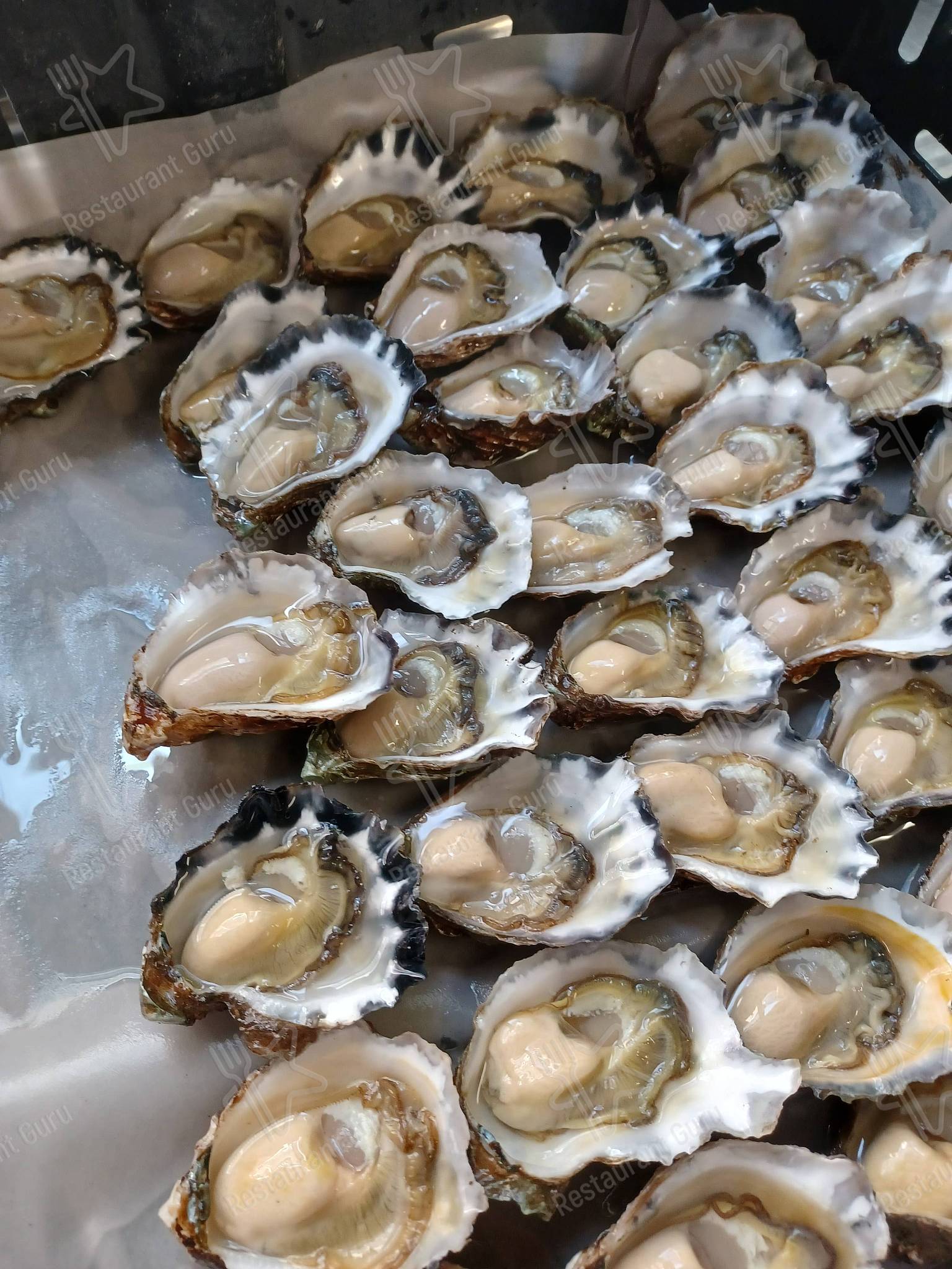 Menu at Jenkins oysters restaurant, South West Rocks