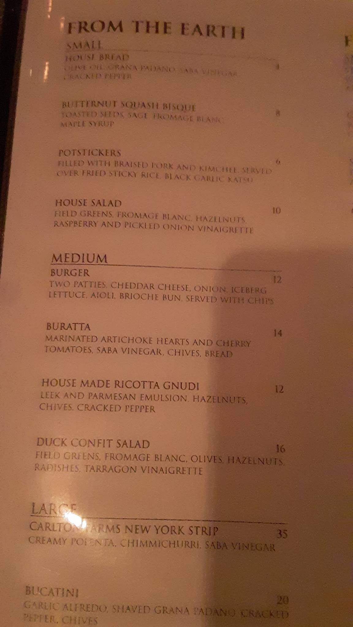 Menu at Earth & Sea Restaurant, Carlton