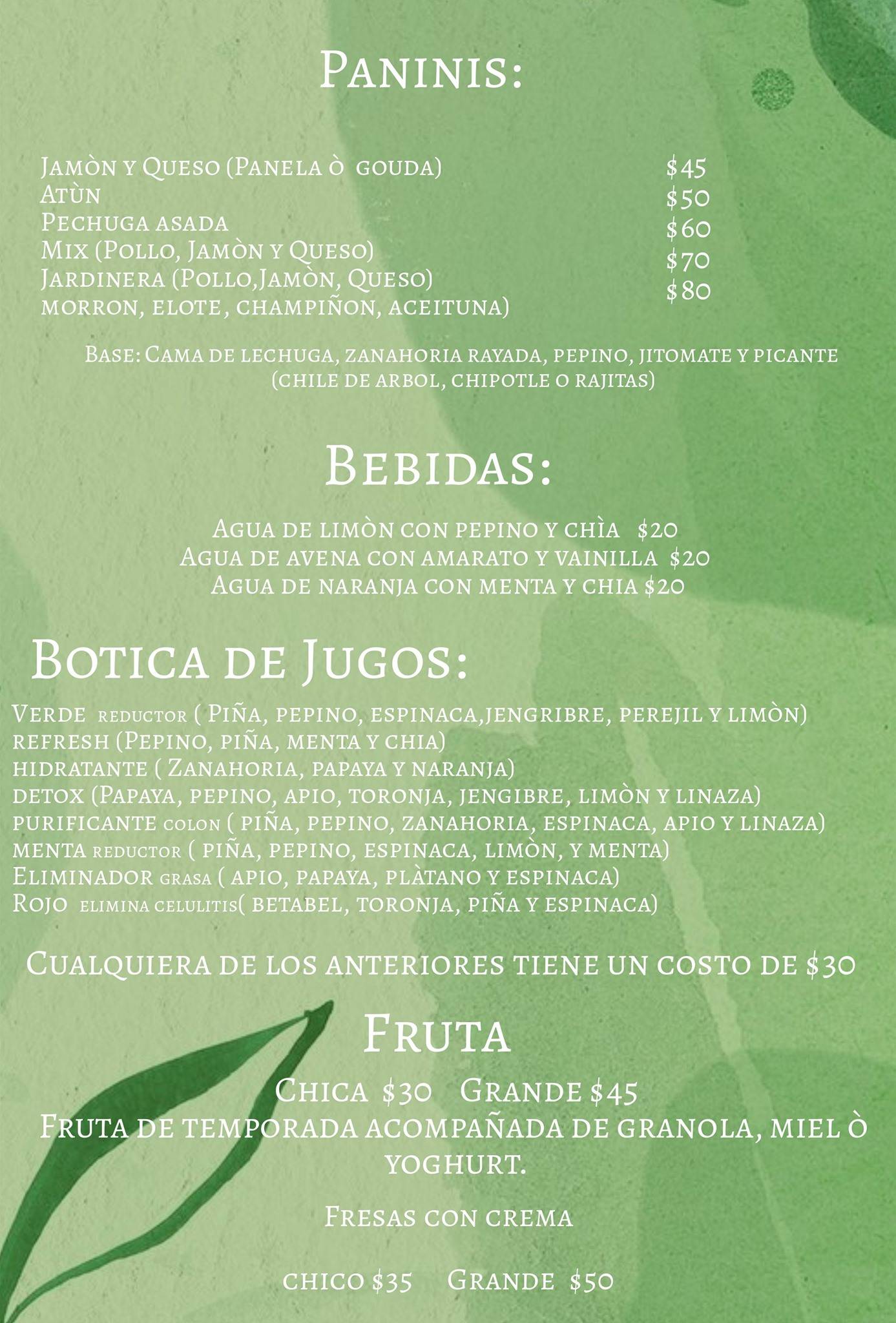 Menu at El Jardin Salads Toluca restaurant, Toluca, San Felipe 103