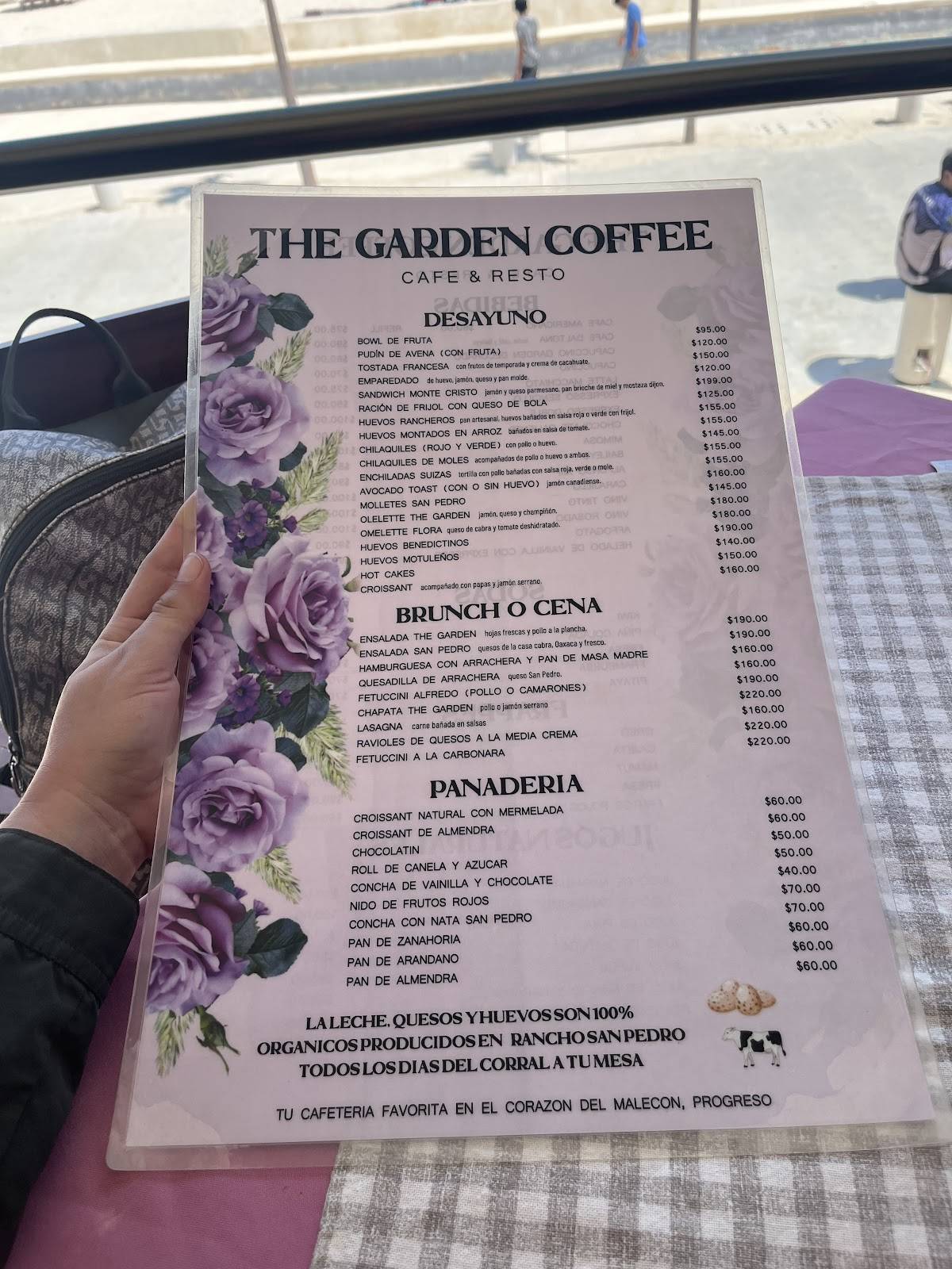 Carta del restaurante The Garden Coffee, Progreso
