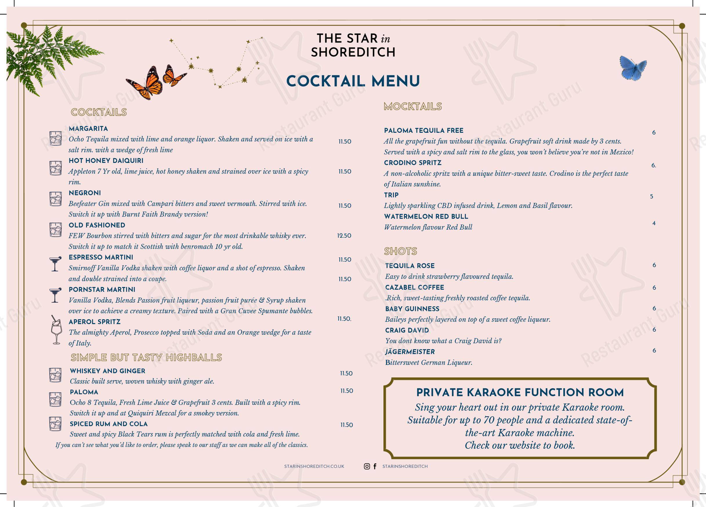 Menu at The Star In Shoreditch pub & bar, London