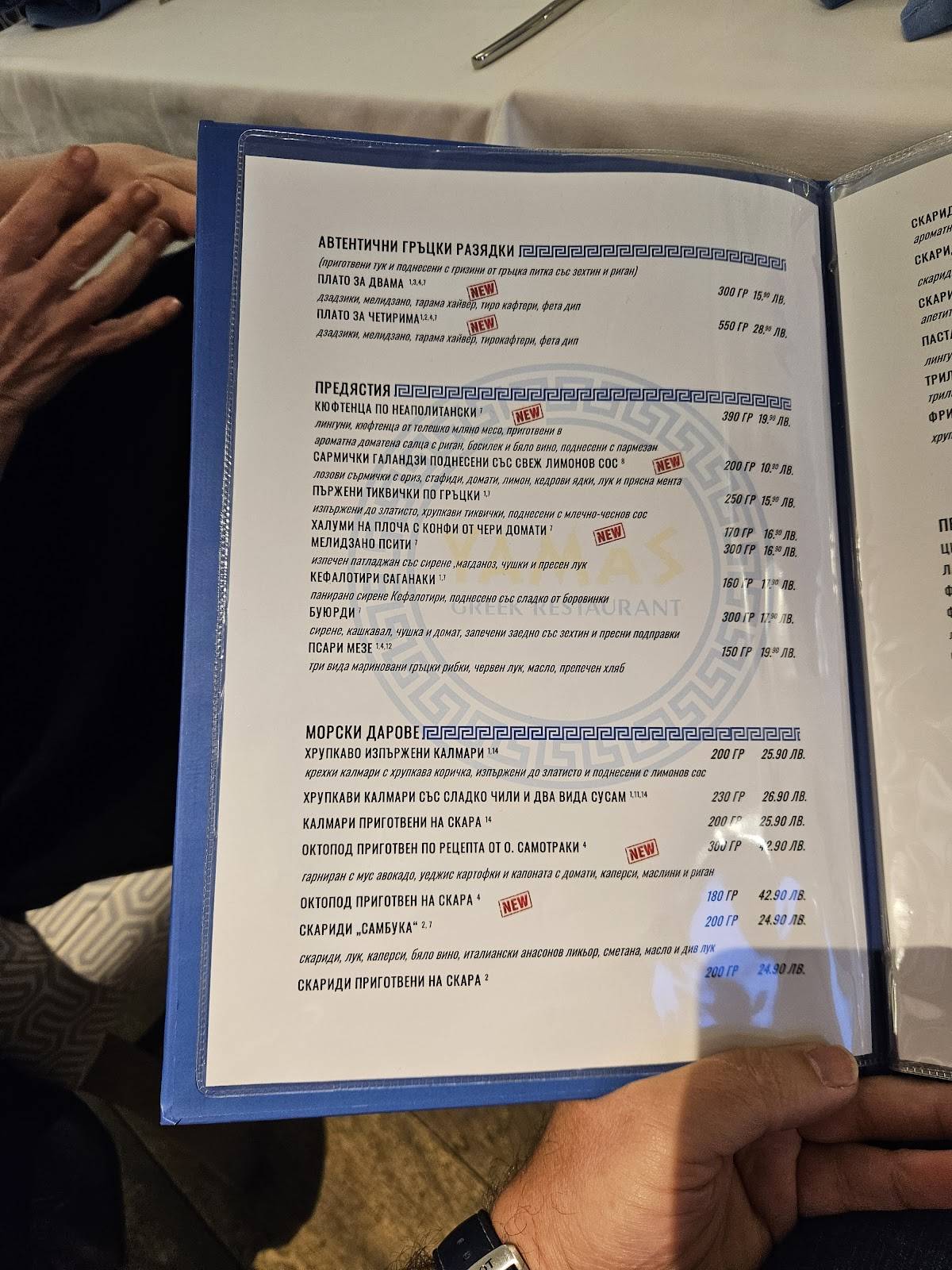 Menu at Yamas restaurant, Sofia, ulitsa "Professor Hristo Vakarelski" 1А