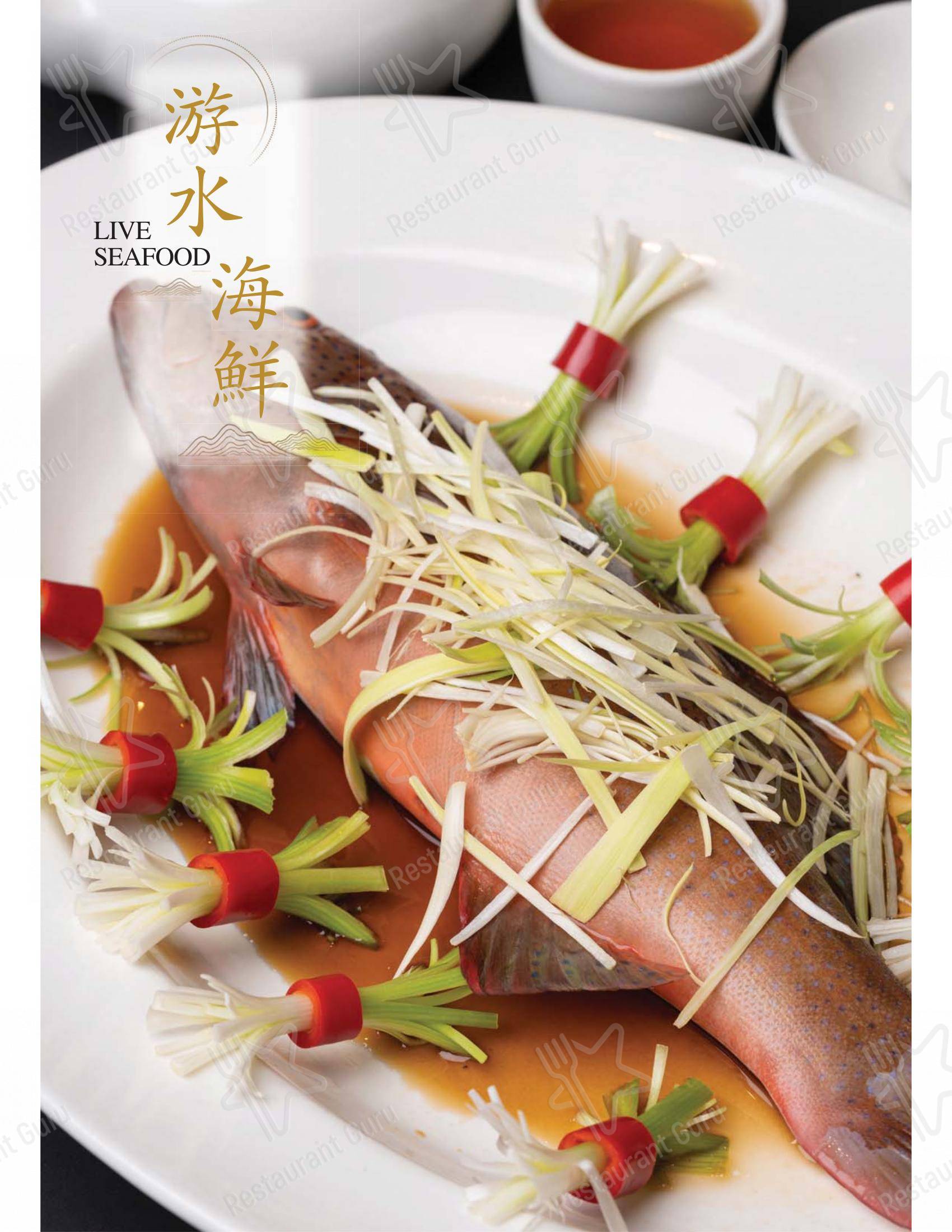 Menu at Shark Fin Inn restaurant, Melbourne, 50 Little Bourke St