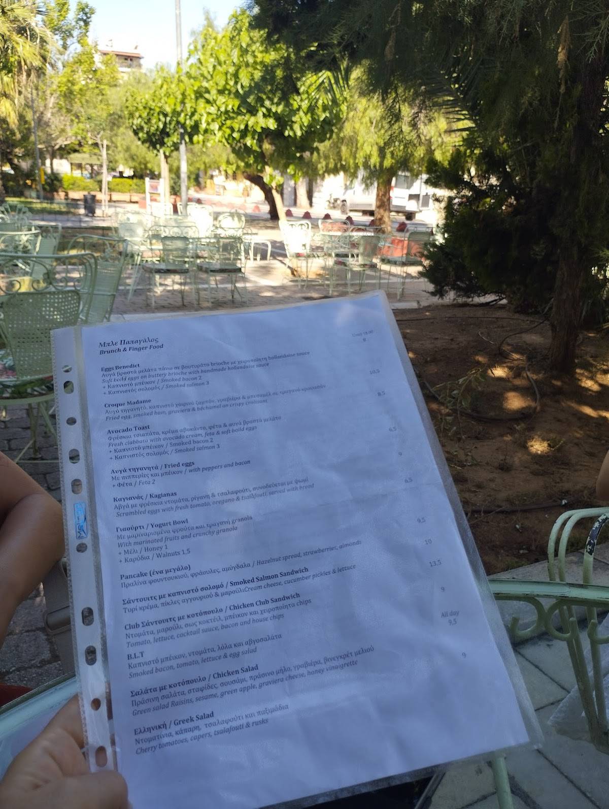 Menu at Blue Parrot, Athens