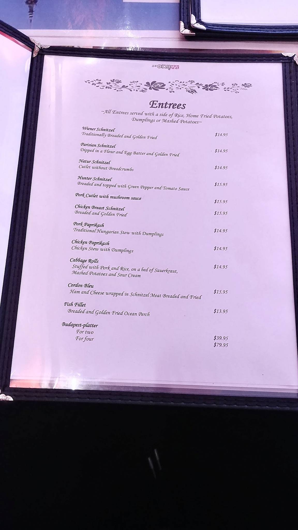 Menu at Budapest Restaurant, Toronto, Danforth Ave