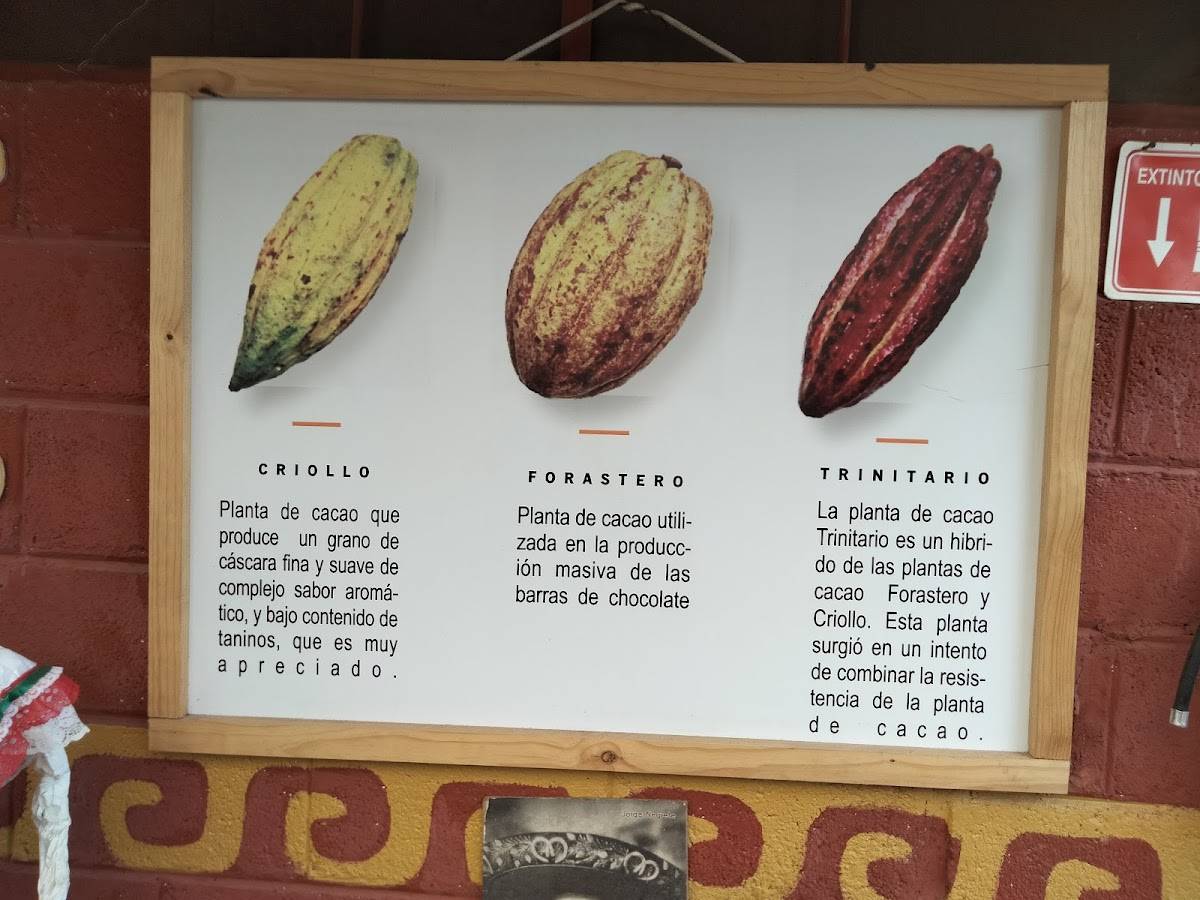Menu at CHOCOLATE Y CACAO VILLA TLÁLOC, San Martín de las Pirámides