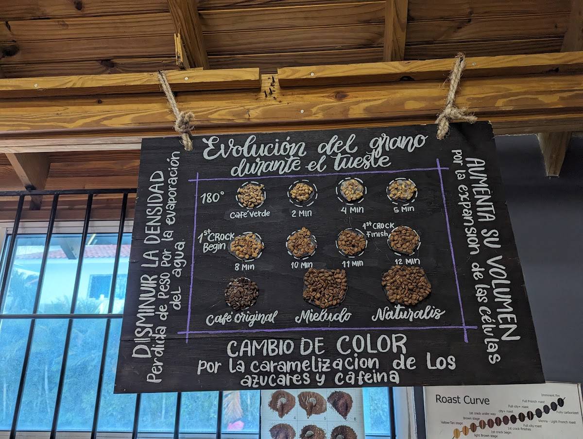 Carta de Color Cafe, Dominicus