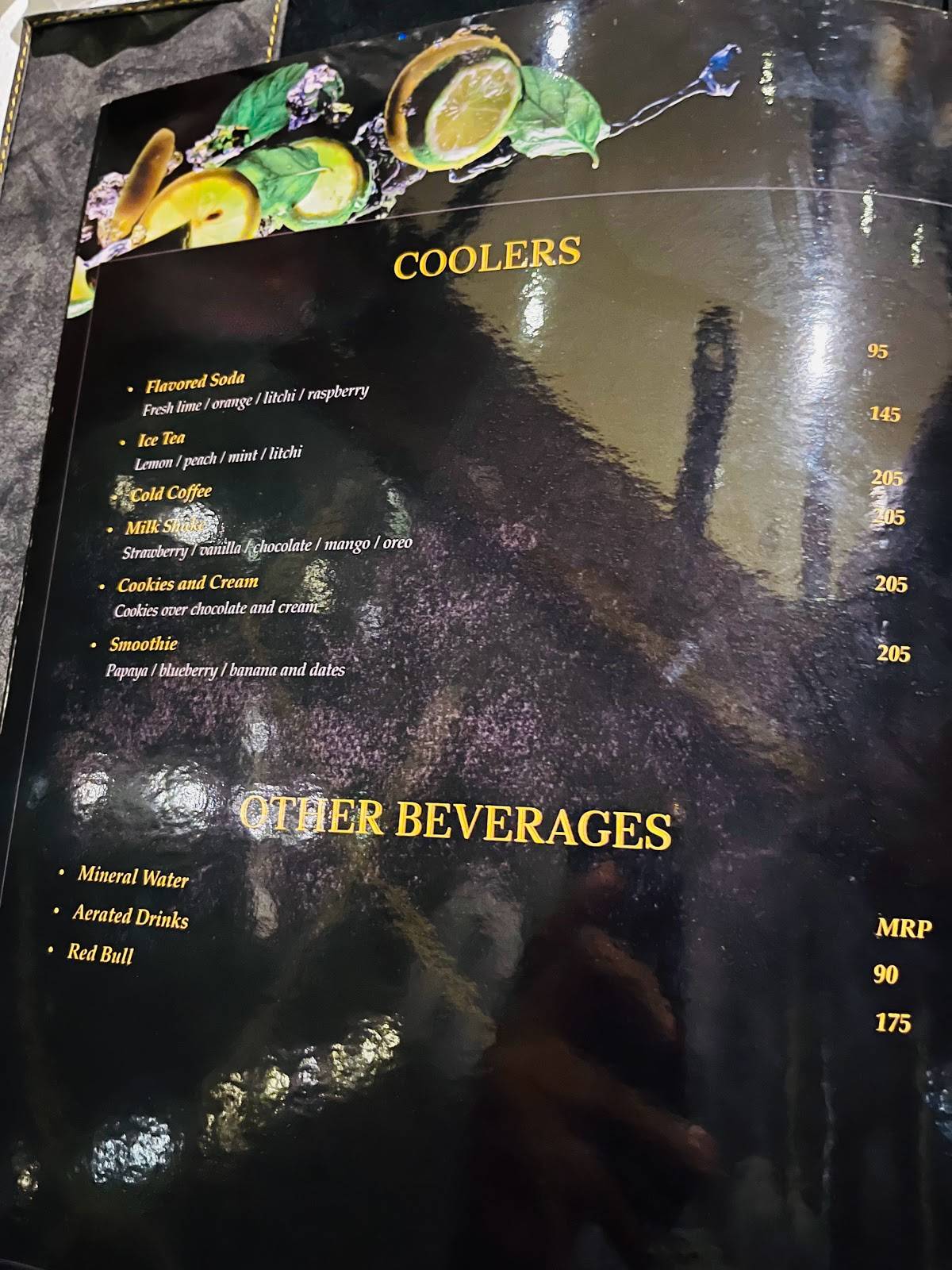 Menu at Sizzling Salsa, Dumas, Rajhans Belliza (B