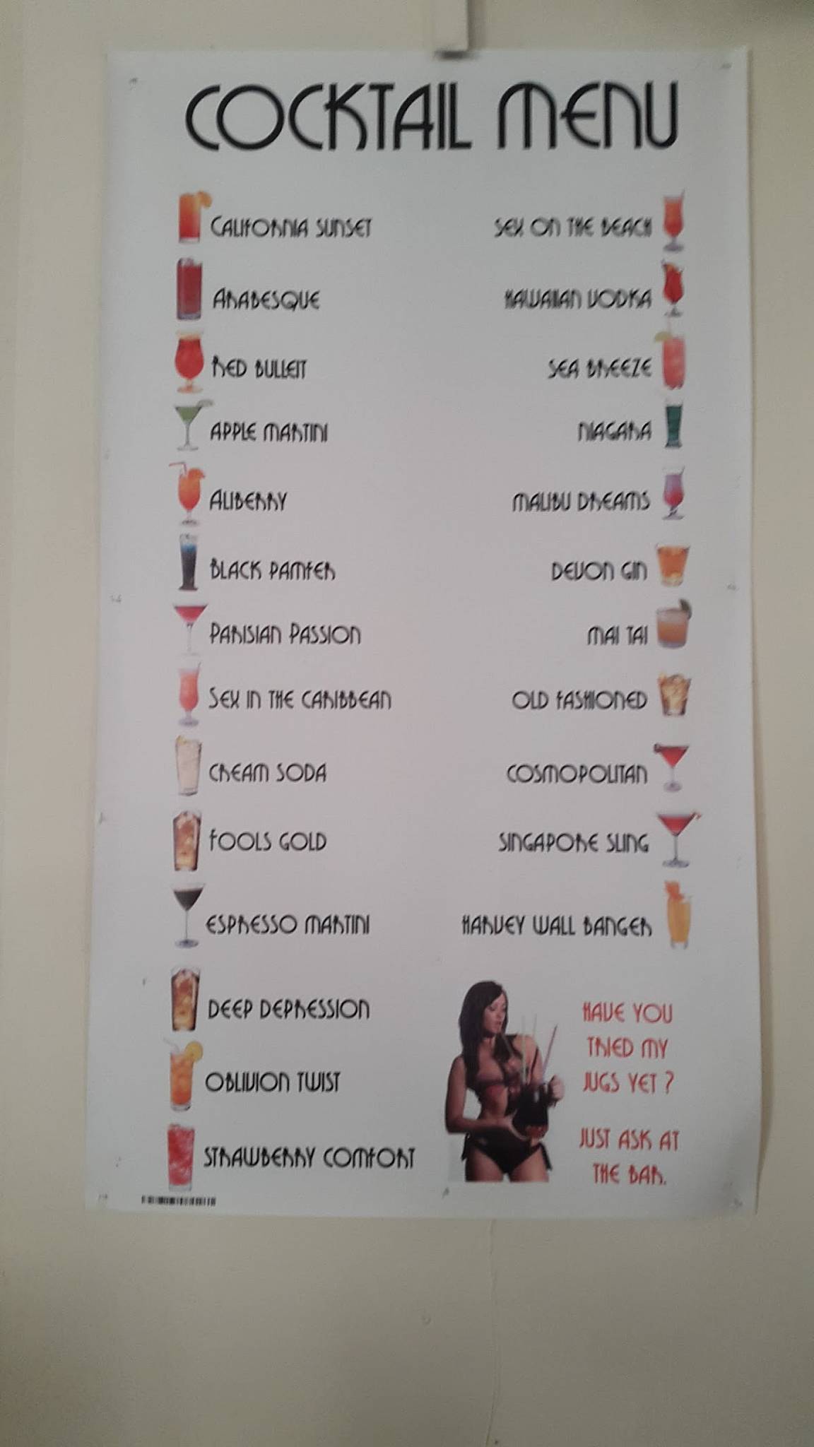 Menu at Olde Market Inn pub & bar, Holsworthy