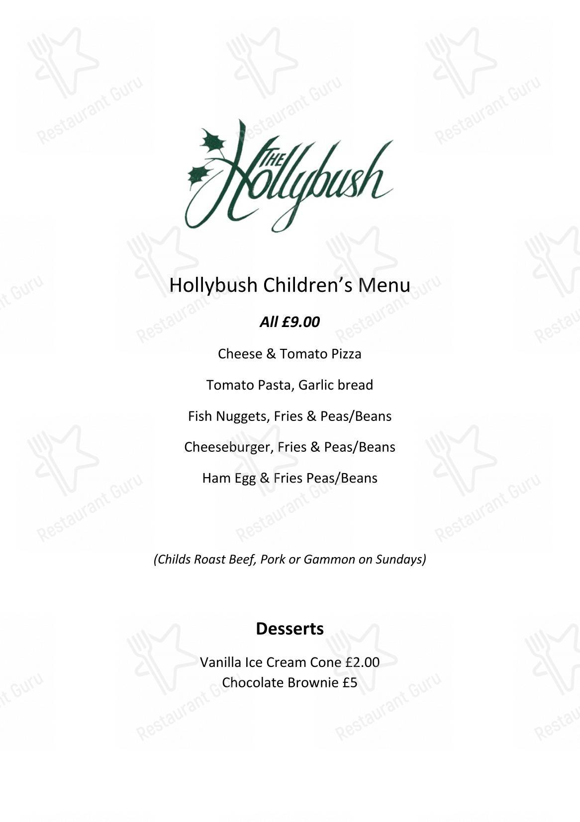 Menu at The Hollybush Pub, Bristol, 29 Bath Rd