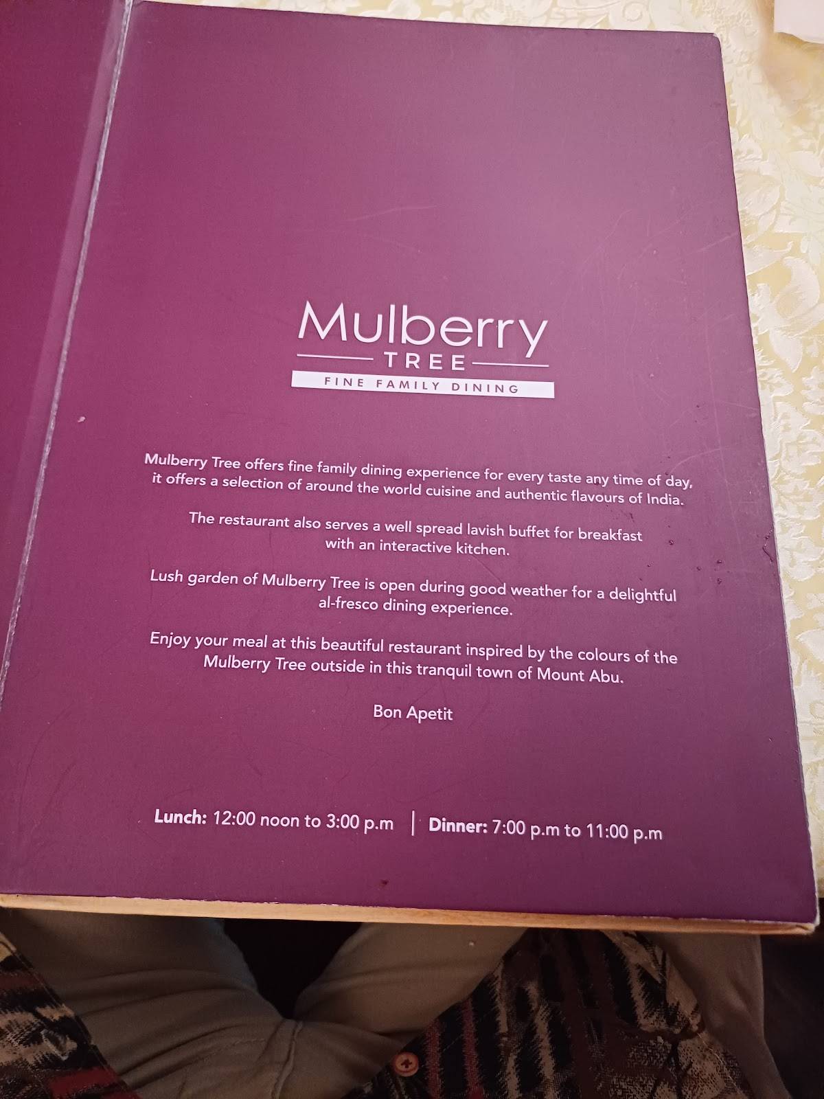 Menu at The Mulberry Tree Restaurant, Mount Abu