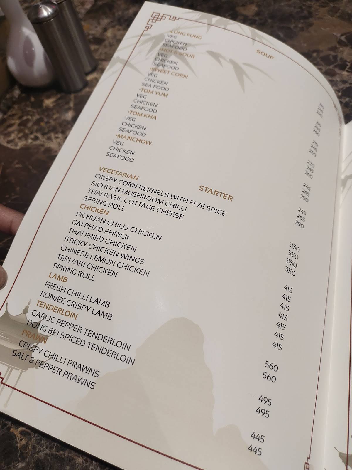 Menu at WOK AT SKYDECK ASIAN RESTAURANT, Kodaikanal