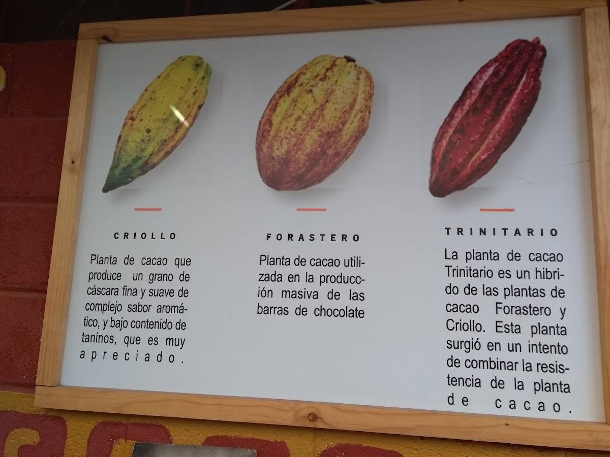 Menu at CHOCOLATE Y CACAO VILLA TLÁLOC, San Martín de las Pirámides