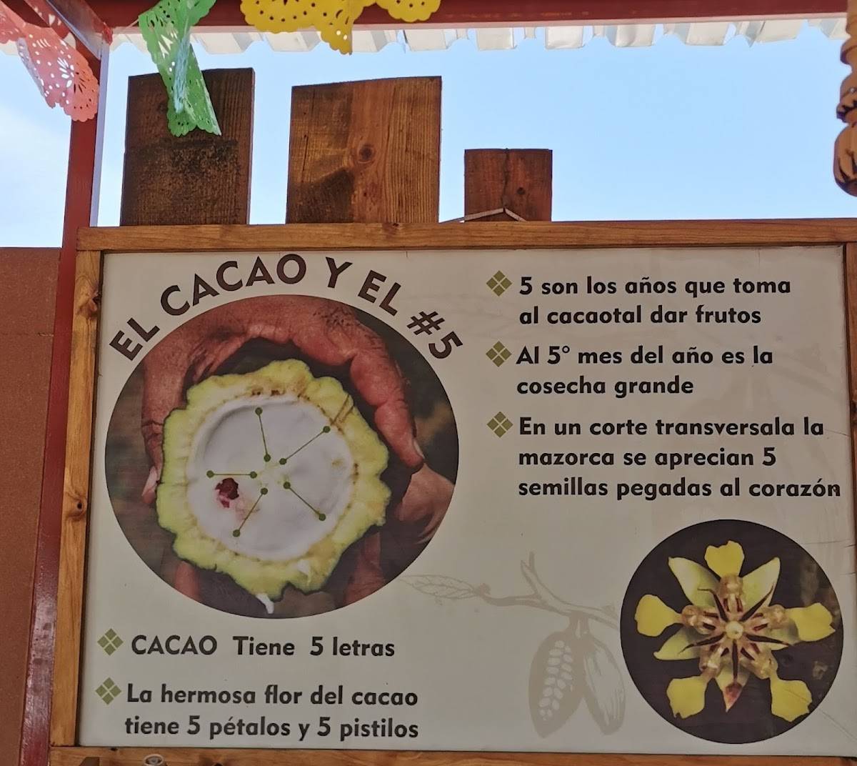 Menu at CHOCOLATE Y CACAO VILLA TLÁLOC, San Martín de las Pirámides