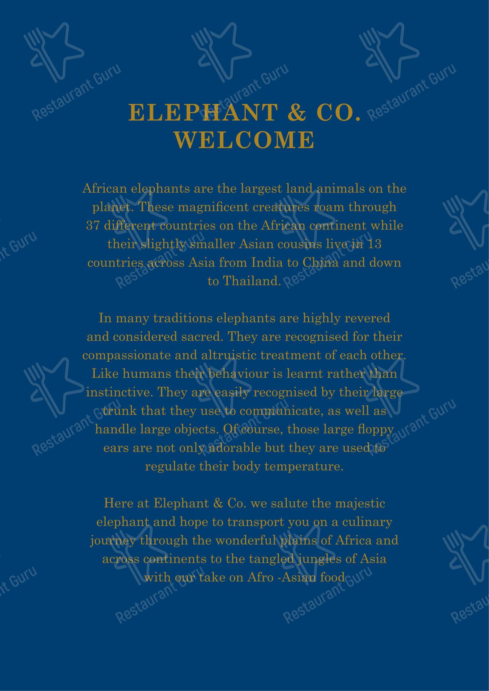 Menu at Elephant & Co Athlone restaurant, Pietermaritzburg, Athlone Circle