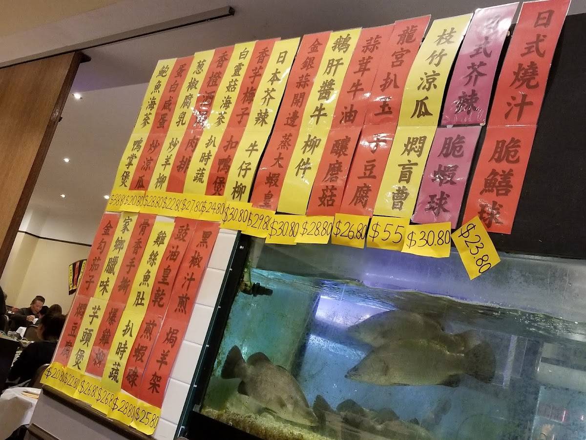 Menu at Ocean King Chinese Restaurant, Glen Waverley