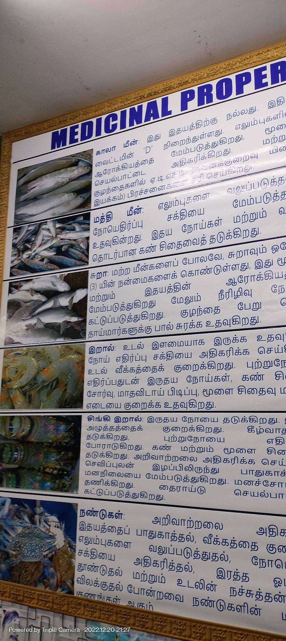 Menu at Deep Marine Sea Food Restaurant and Deep Sea Proteins Fresh Sea ...