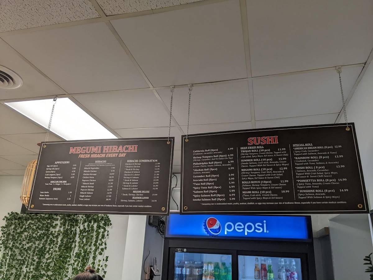 Menu at MEGUMI SUSHI BAR, RAMEN AND GRILL, Troy, 12 S Dorset Rd